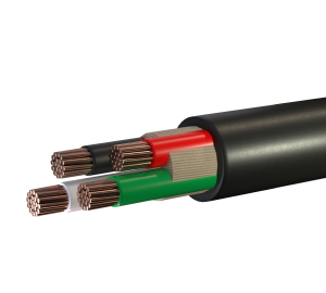 Portable Cords - Laika